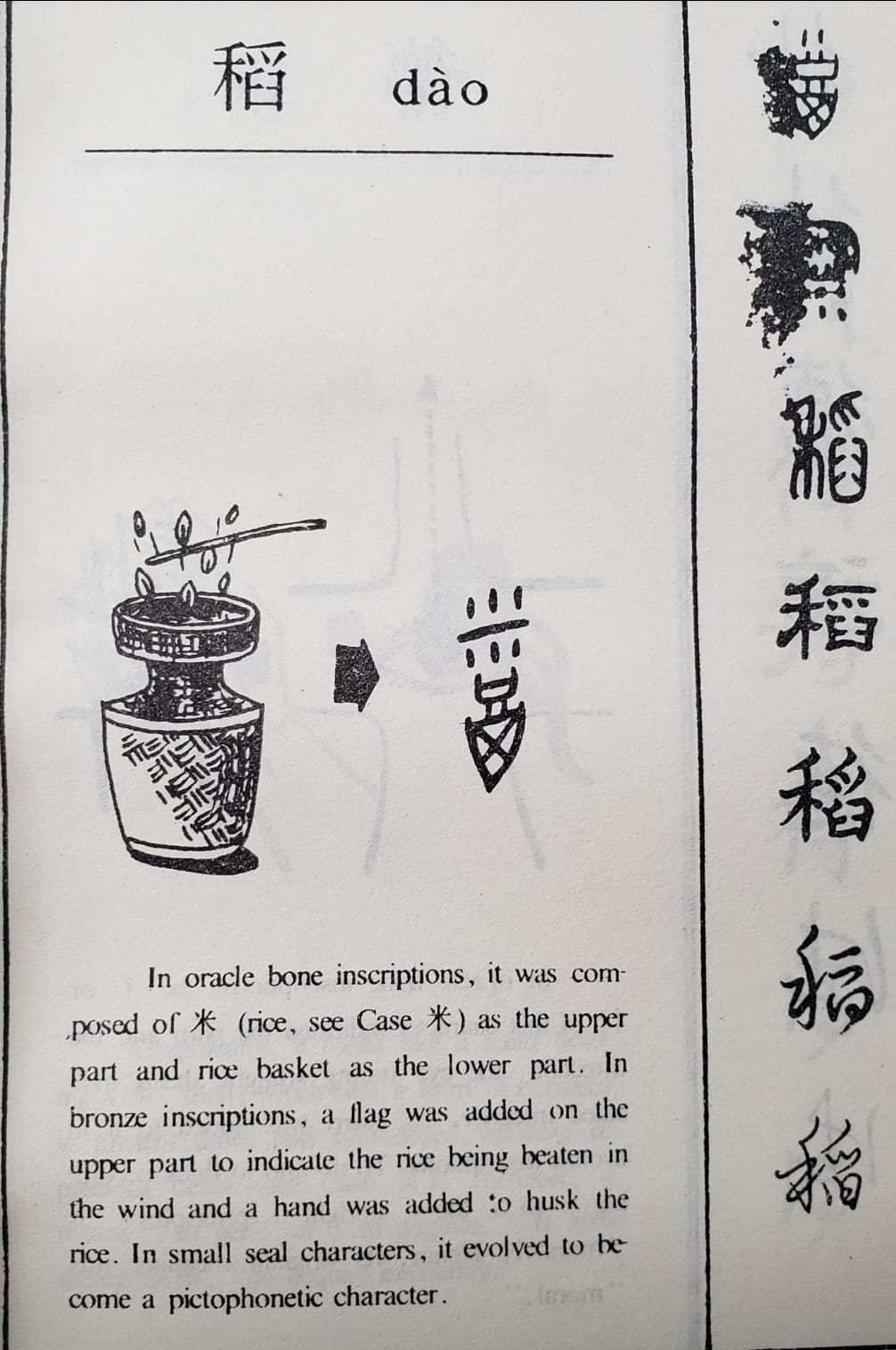 Chinese Learning One Word Everyday~【稻】(dào) 每日学一字 - Everyday Mandarin ...
